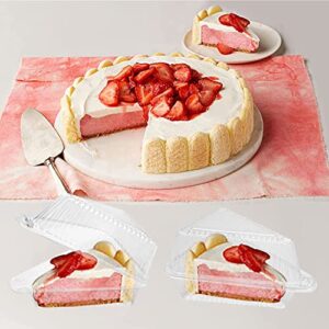 100 Pieces Cake Slice Plastic Containers, 5 Inches Hinged Lid Cheese cake Container, for Home, Bakery and Cafe