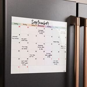 M.C. Squares Reusable Monthly Calendar Whiteboard. Schedule clings to Stainless Steel & Glass (Any Shiny Surface) Included Smudge-Free Wet-Erase Tackie Marker, Made in The USA