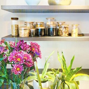 Urban Green Glass Jars with Bamboo Lids, Glass Airtight Canisters sets, Glass Food Storage Container, Pantry Organization and Storage Jars, Kitchen Canisters Sets, Spice Jars, Flour Containers of 6