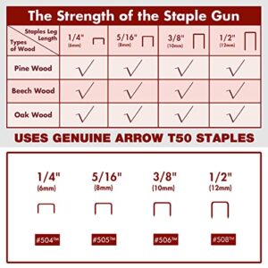 Arrow Electric Staple Gun Kit, Corded Stapler with 3750 Pieces T50 1/4", 3/8", 1/2" Staples, for Upholstery Professional and DIY Projects, T50ACD