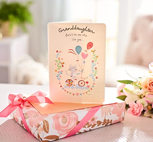 American Greetings Birthday Card for Granddaughter (No One Else Like You)