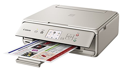 Canon Office Products PIXMA TS5020 GY Wireless color Photo Printer with Scanner & Copier, Gray