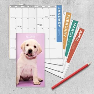 TF PUBLISHING Puppies Small Monthly Pocket Daily Planner 2023-2024 | Pocket Calendar 2023-2024 For Purse | Daily Planner 2023 - 2024 | Agenda 2023 | Calender 2023 Small Planner | 3.5" x 6.5"