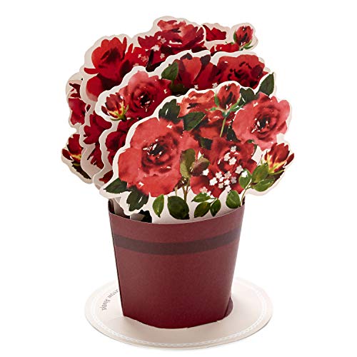 Hallmark Paper Wonder Pop Up Valentines Day Card, Displayable Bouquet (Today, Tomorrow, Always)