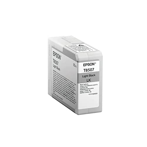 Epson T850700 T850 UltraChrome HD Light Black -Ink