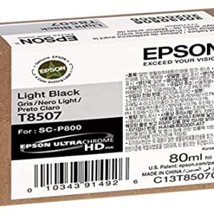 Epson T850700 T850 UltraChrome HD Light Black -Ink