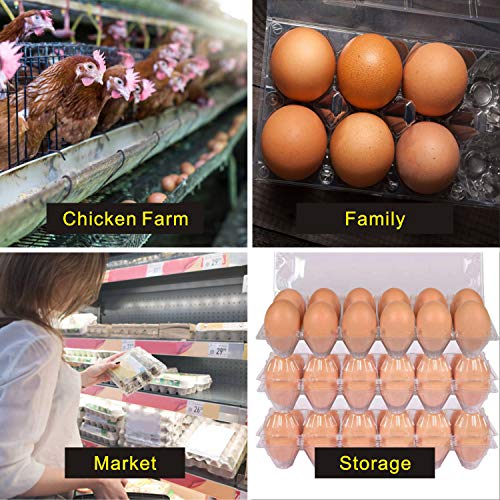 Large Egg Cartons 30 Packs with Sticker Labels , Plastic Egg Carton for 12 Eggs, Cheap Bulk Egg Tray Egg Container Holder for Refrigerator, Storage, Family, Chicken Farm, Market, Camping