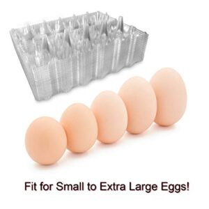 Large Egg Cartons 30 Packs with Sticker Labels , Plastic Egg Carton for 12 Eggs, Cheap Bulk Egg Tray Egg Container Holder for Refrigerator, Storage, Family, Chicken Farm, Market, Camping