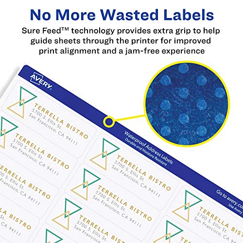 Avery Waterproof Address Labels with Sure Feed & TrueBlock 1" x 2-5/8", 1,500 White Laser Labels (5520)