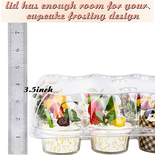 TWOWYHI (24 Counts x 10 Sets Cupcake Containers 24 Count Cupcake Boxes Plastic Cupcake Carrier Cupcake Holders for 24 Cupcakes Clear Plastic Disposable Cupcake Container with Detachable Tall Dome Lid