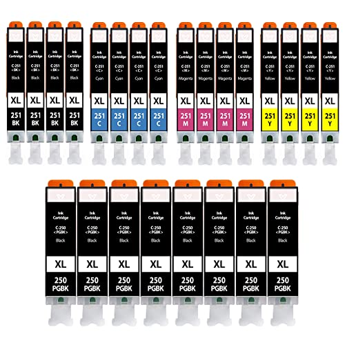 Enlite PGI250 CLI251 24 Pack Ink Cartridge Replacement for Canon 250 251 PGI250XL CLI251XL, Printer Ink for Canon Pixma IX6820 IP8720 MX922 MG7520 IP7220 MX722 MG5420 MG5520(8PGBK, 4BK, 4C, 4M, 4Y)