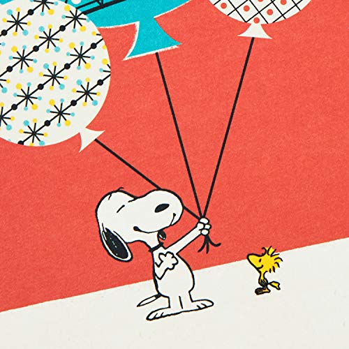 Hallmark Peanuts Birthday Cards Assortment, Snoopy Designs (12 Cards with Envelopes)