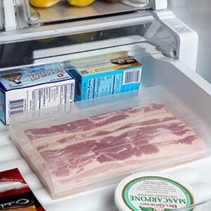 Home-X Bacon Saver, Plastic Bacon Container/Kitchen Meat Saver Storage Container