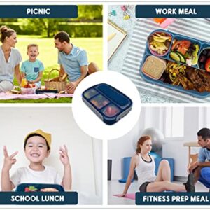 HappyRhino Bento Lunch Box for Kids Adult,4 Compartment Bento Box Adult Lunch Box Containers,Kids Lunch Box with Fun Accessories Silicone Food Cake Cups, Cute Food Picks for Kids,Easy to Clean (BLUE)