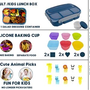 HappyRhino Bento Lunch Box for Kids Adult,4 Compartment Bento Box Adult Lunch Box Containers,Kids Lunch Box with Fun Accessories Silicone Food Cake Cups, Cute Food Picks for Kids,Easy to Clean (BLUE)