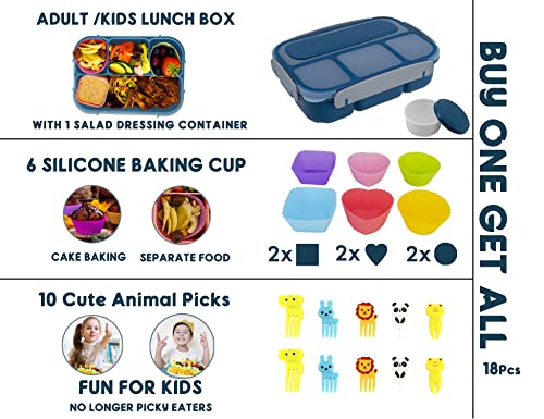 HappyRhino Bento Lunch Box for Kids Adult,4 Compartment Bento Box Adult Lunch Box Containers,Kids Lunch Box with Fun Accessories Silicone Food Cake Cups, Cute Food Picks for Kids,Easy to Clean (BLUE)