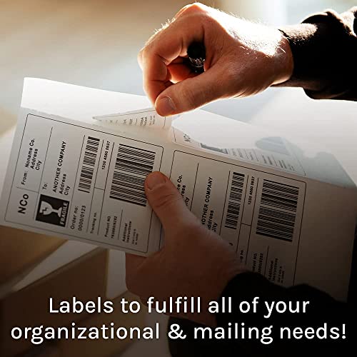 Premium Label Supply White Sticker Address Labels – 2” x 4" – Laser/Inkjet Compatible – (10 Labels/Sheet), 25 Sheets – 250 Total Adhesive Labels