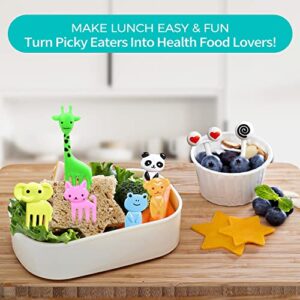 FATLODA Food Picks for Kids, 80PCS Kids Food Picks, Animal Toddler Food Picks, Reusable Kids Lunch Accessories for Bento Box, Cute Kids Toothpicks For Lunch Picks, Fun Fruit Picks Forks