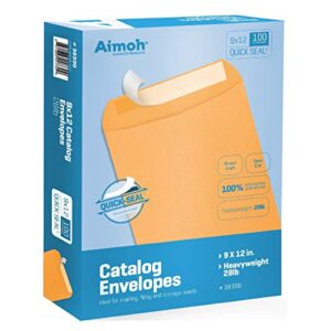 9 x 12 self-seal brown kraft catalog mailing envelopes – 28lb – 100 count, 9×12 inch (38300)