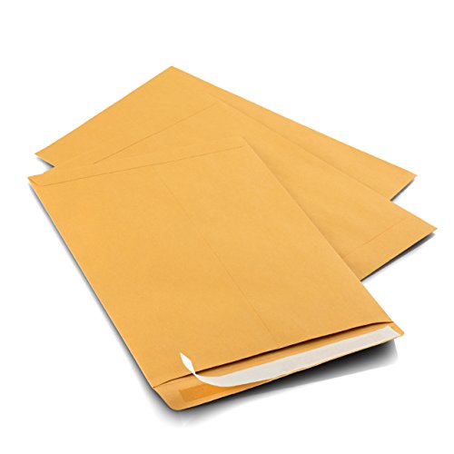 9 X 12 Self-Seal Brown Kraft Catalog Mailing Envelopes - 28lb - 100 Count, 9x12 Inch (38300)