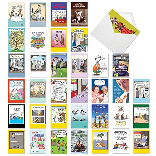 NobleWorks - Variety Pack of 36 Assorted Funny Birthday Cards Bulk Box Set w/Envelopes, Edgy Humor B-Day for Men, Women (36 Designs, 1 Each) - Birthday Favorites AC2911BDG-B1x36