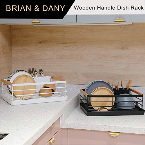 BRIAN & DANY Dish Drying Rack, Dish Racks for Kitchen Counter, Stainless Steel Dish Drainer with Removable Cutlery Holder & Drainboard, Black