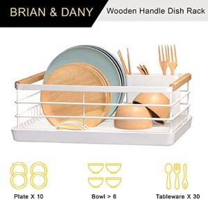 BRIAN & DANY Dish Drying Rack, Dish Racks for Kitchen Counter, Stainless Steel Dish Drainer with Removable Cutlery Holder & Drainboard, Black