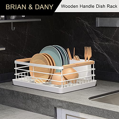 BRIAN & DANY Dish Drying Rack, Dish Racks for Kitchen Counter, Stainless Steel Dish Drainer with Removable Cutlery Holder & Drainboard, Black