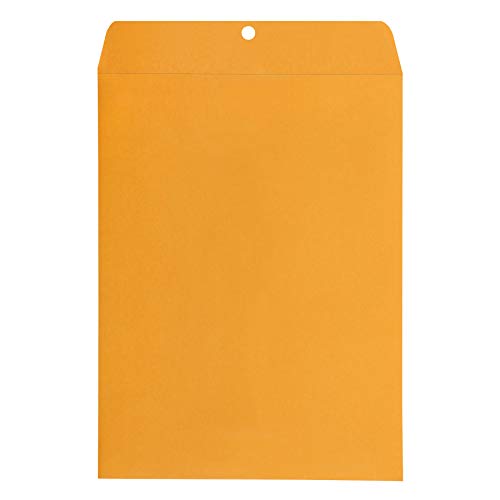 Amazon Basics 9 x 12-Inch Clasp Kraft Envelopes, Gummed, 100-Pack