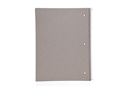 Mintra Office Spiral Notebooks - Pastel, College Ruled, 6 Pack, For School, Office, Business, Professional,70 Sheets