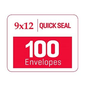 100 9 x 12 SELF Seal Security White Catalog Envelopes - 28lb - Security Tinted, Ultra Strong Quick-Seal, 9x12 inch (38100)