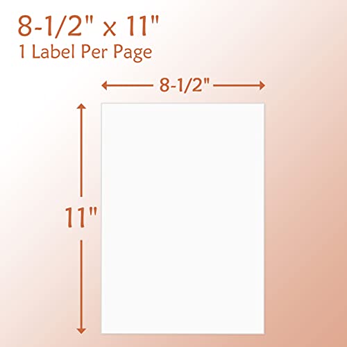 9527 Product 100 Sheets Sticker Labels 8-1/2" x 11" Shipping Address Labels for Laser/Ink Jet Printer,100 Labels.