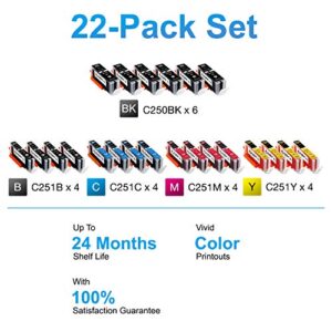 Arthur Imaging Compatible Ink Cartridge Replacement for Canon Pgi-250Xl CLI-251XL for Use with Pixma MX922 MG5520 (6 Large Black, 4 Small Black, 4 Cyan, 4 Yellow, 4 Magenta, 22-Pack)