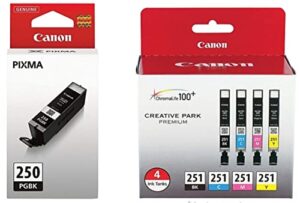 genuine canon pgi-250 (6497b001) cli-251 (6513b004) color (black, cyan,magenta,yellow) ink tank 5-pack