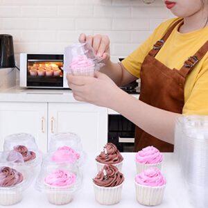 HIMETSUYA Cupcake Boxes Individual Cupcake Containers, 50 Packs Regular Single Cupcake Holder High Topping for Muffins, Thicker Stackable Plastic Cupcake Carrier for Party (50 pack)