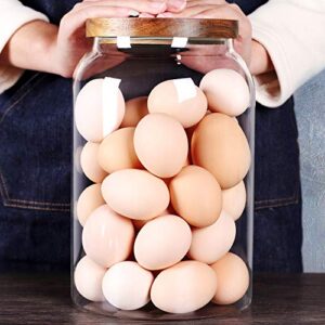 saiool egg jar,kitchen canister， 1 gallon large glass food storage jars with airtight lid, clear