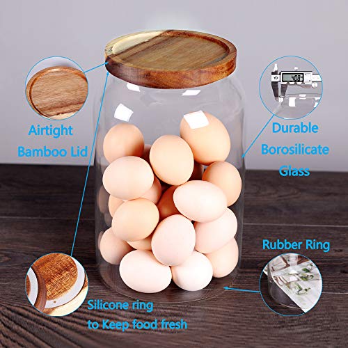 SAIOOL Egg Jar,kitchen canister， 1 Gallon Large Glass Food Storage Jars with Airtight Lid, Clear