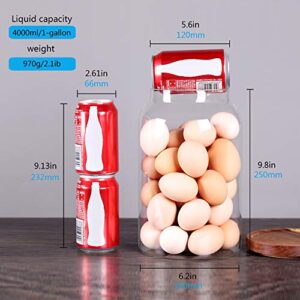 SAIOOL Egg Jar,kitchen canister， 1 Gallon Large Glass Food Storage Jars with Airtight Lid, Clear