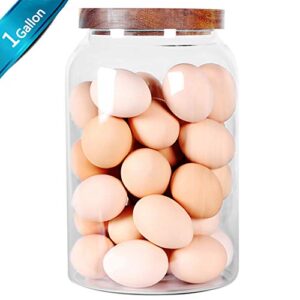 SAIOOL Egg Jar,kitchen canister， 1 Gallon Large Glass Food Storage Jars with Airtight Lid, Clear