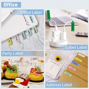 NIIMBOT Label Maker Sticker Machine D110 Thermal Label Printer Inkless Portable Bluetooth Label Sticker Maker, Mini Bulk Printer for Business Home Office Compatible iOS Android USB Rechargeable-White