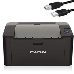 pantum p2502w monochrome laser printer for home office school student mobile wireless black and white printing- small laserjet