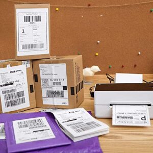 Phomemo Shipping Labels, 4x6 Thermal Labels, Compatible with USPS, Shopify, Amazon, Etsy, Ebay, DHL, UPS, FedEx, 500pcs/pack