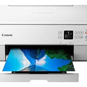 Canon TS6420 All-In-One Wireless Printer, White (Renewed)