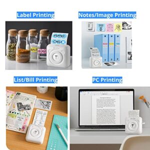 Mini Thermal Photo Printer, Wireless Picture Label Memo Receipt Paper Printer with Bluetooth 203DPI, Suitable for Android iOS Window (White)