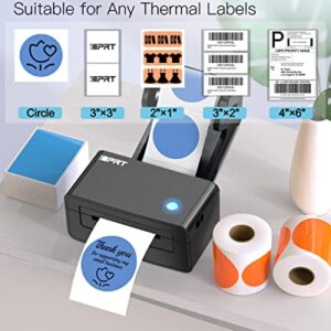 iDPRT Label Printer SP410 & Label Holder