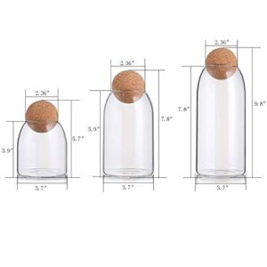 Suwimut 3 Pack Glass Jar with Airtight Cork Lid Ball, Clear Candy Jar Mason Jars Food Storage Canister with Seal Wood Cork Round Stopper for Serving Spice Sugar Salt Tea Coffee, 500ML, 900ML, 1200ML