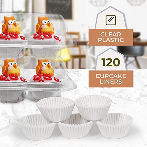 24 Compartment Mini Cupcake Containers, Set of 5 Disposable Plastic High Dome Lid Cupcake Boxes for Transporting Small Cupcakes with Tall Icing