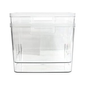 Isaac Jacobs 2-Pack Extra-Large Clear Storage Bins (11.5” L x 14” W x 9” H) w/ Cutout Handles, Plastic Organizer for Home, for Kitchen, Fridge, Pantry, BPA Free, Food Safe (2-Pack, Extra-Large)