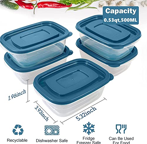 PEDECO Rectangle Plastic Portion box Sets with Lids.Food Storage Box,Container Sets,Food Storage,Food Containers,Cereal Containers,use for School,Work and Travel,0.53 quarts(500ML) per box,Set Of 5