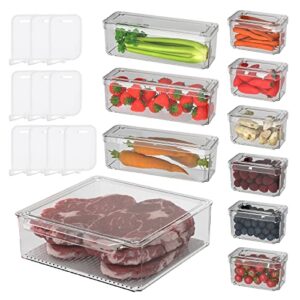 10 pack refrigerator organizer bins – 3 size stackable fridge organizers and storage clear storage bins with lids, fridge organizer for vegetable berry cereals grape tomatoes fruit storage,etc